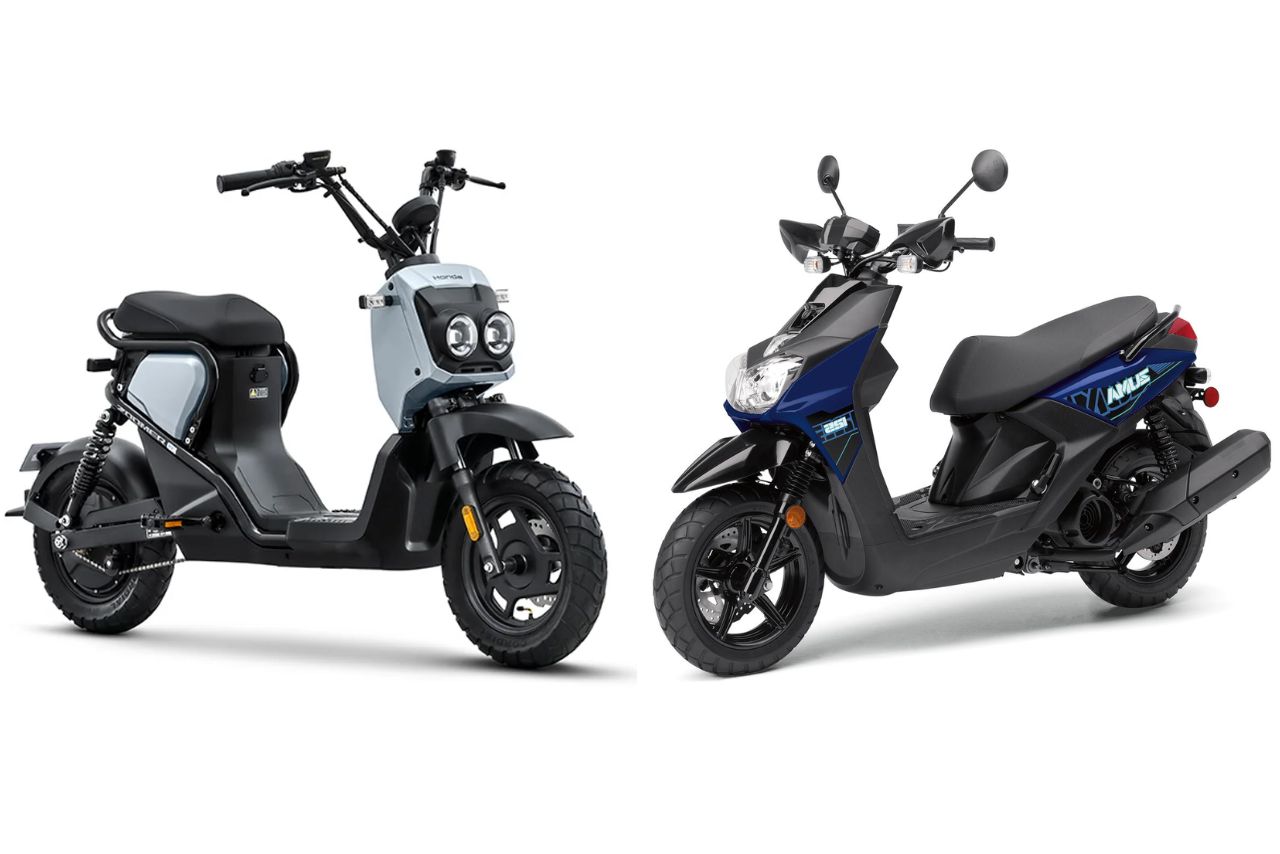 Honda Ruckus vs Zuma: (Comparing Two Popular Scooters!) 2023 » Scooter Tip